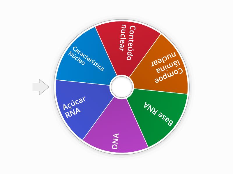 roleta Quiz nucleo - Spin the wheel