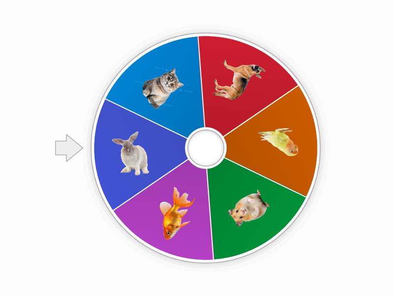 Pets - Spin the wheel