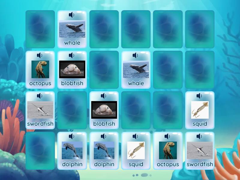 Summer Camp Level 1 Memory Game Ocean - Matching pairs