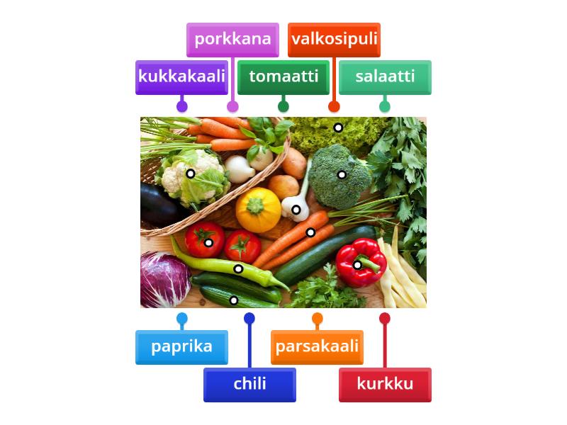 Kasvikset - Labelled diagram