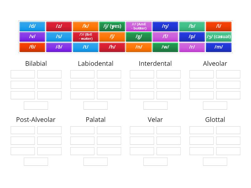 Phonemes and their place of articulation - Group sort