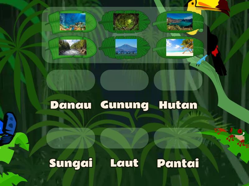 IPAS Grade 2 - Match up