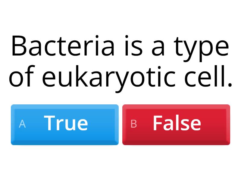 Prokaryotic and Eukaryotic Cells Review - Quiz