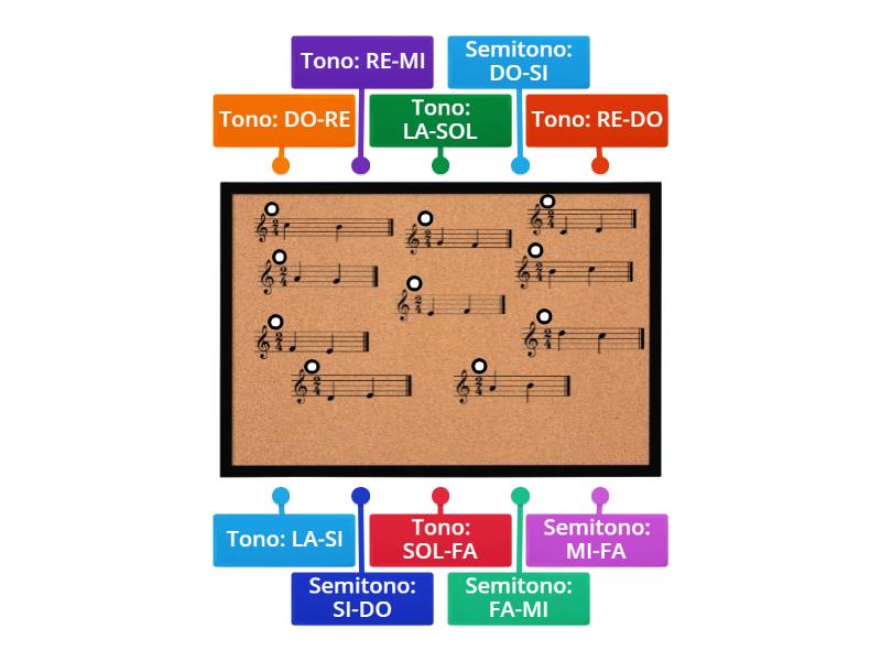 Tonos y semitonos - Labelled diagram