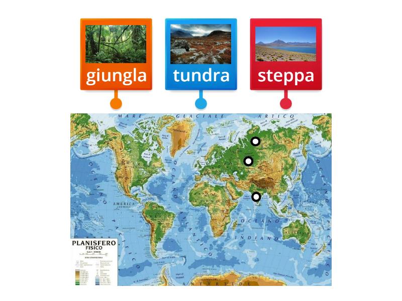 Biomi - Labelled diagram