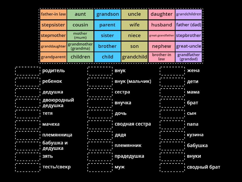 Family members (Solutions/Elementary/1A) - Match up