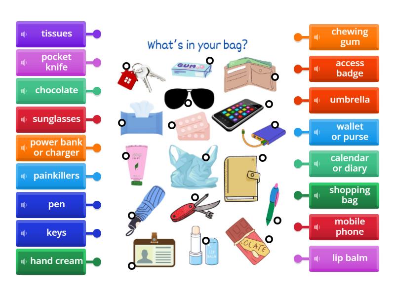 What's in your bag? - Labelled diagram