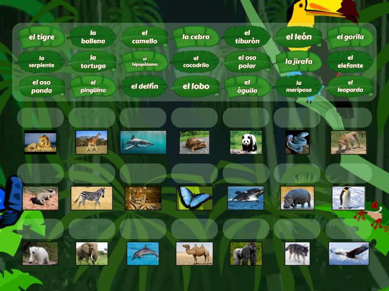 1- VOCABULARIO-LOS ANIMALES SALVAJES - Match up