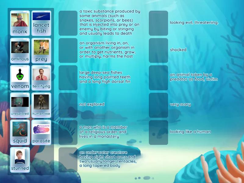 Terrifying Sea Creatures That Actually Exist Match Up