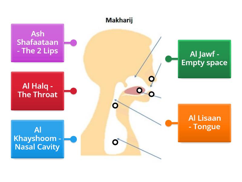 Name the Articulation Points- Types of Makhaarij - Labelled diagram