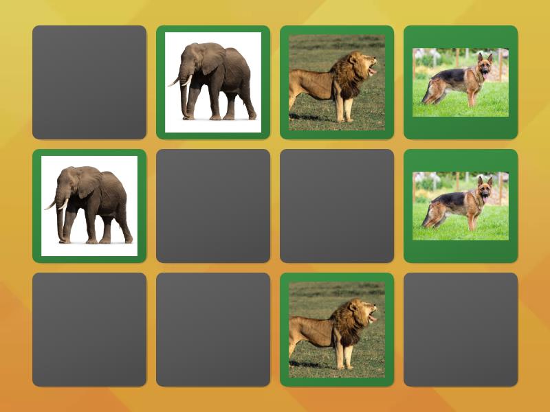 ANIMALS - Matching pairs