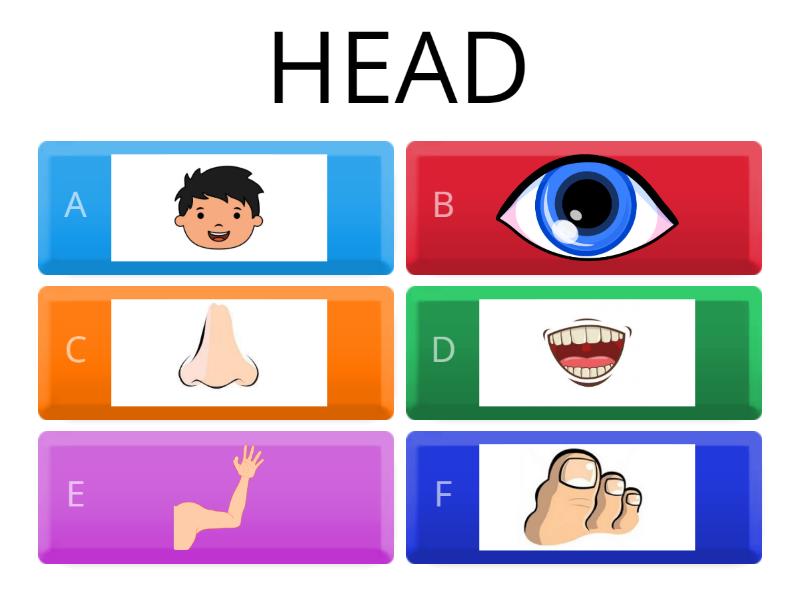 MY BODY - Quiz