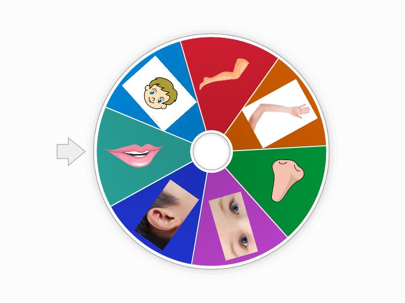 body parts - Spin the wheel
