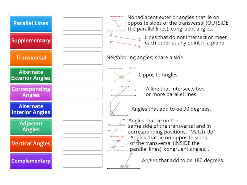 Transversal Vocabulary - Match up