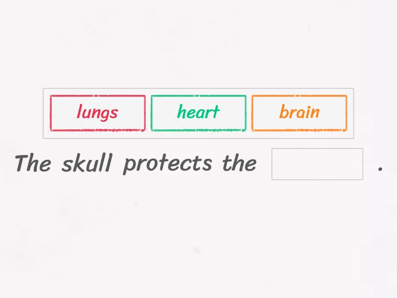 Muscles and Bones - Complete the sentence