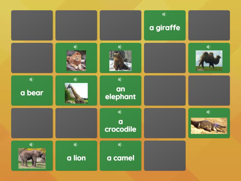 Wild animals - Matching pairs