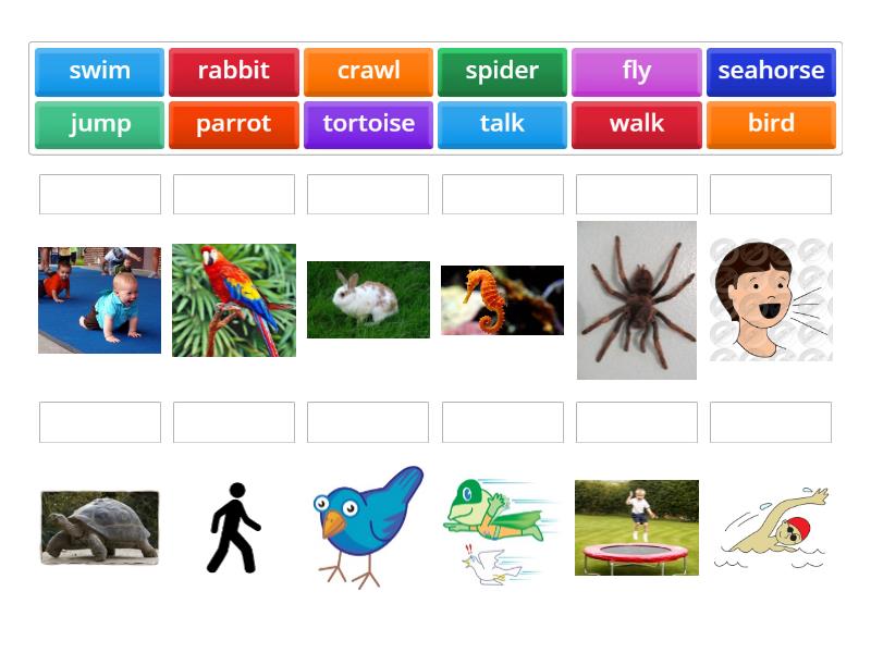 Spotlight 3 module 5 Unit 10a - Match up