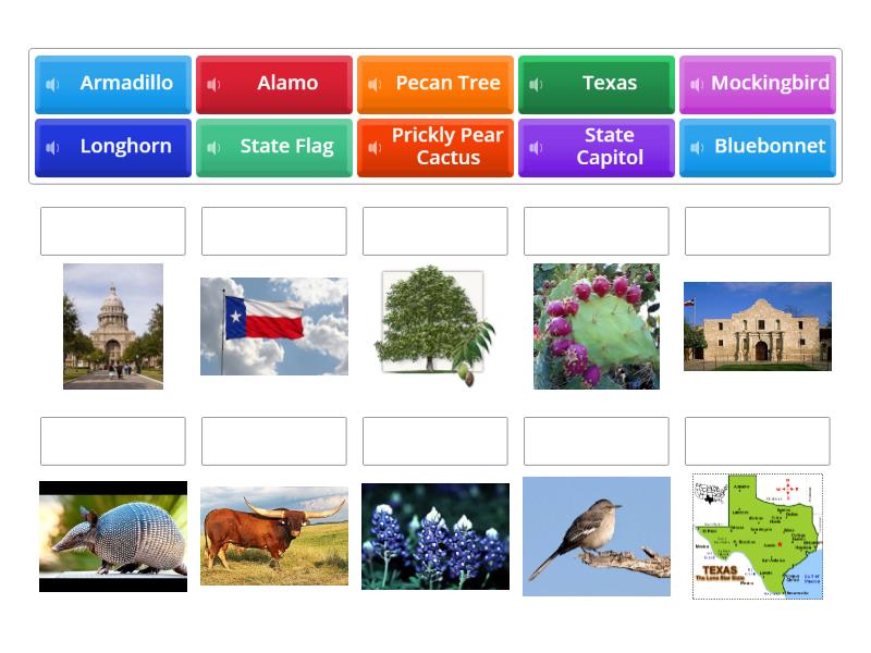 Texas Symbols Matching - Match up