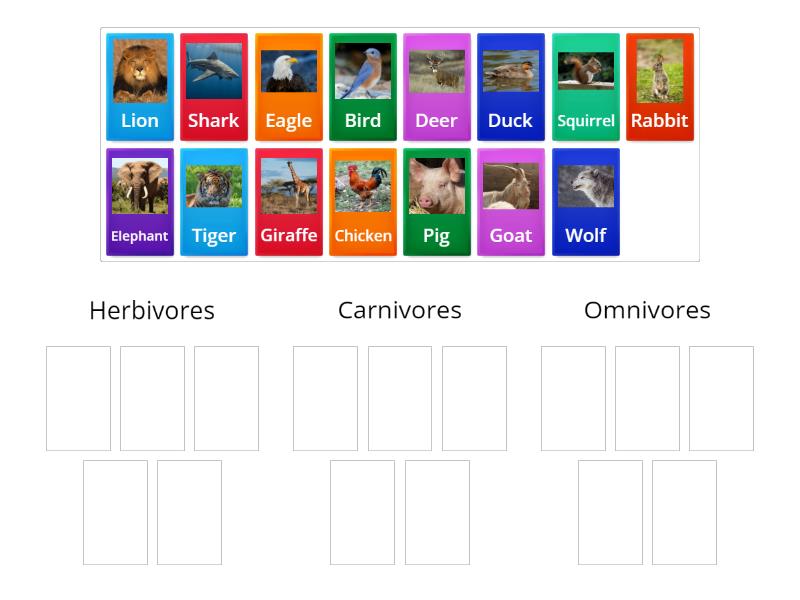 Classification of Animals based on Food Habits - Group sort
