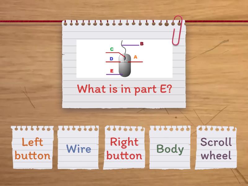Body parts of Computer mouse? - Find the match