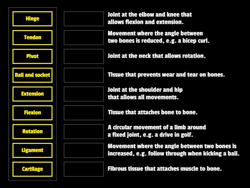 Science 7th. Skeletal system - Joints and movement - Match up