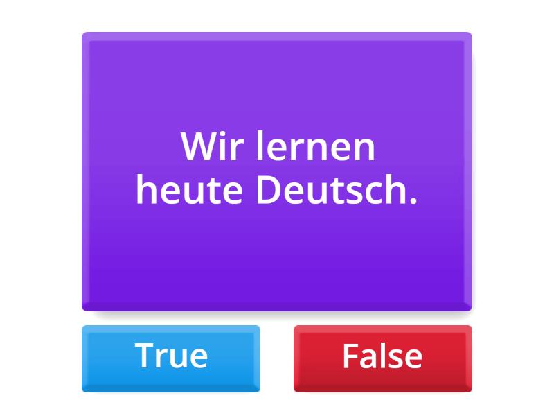 Was lernst du in der Schule? - True or false