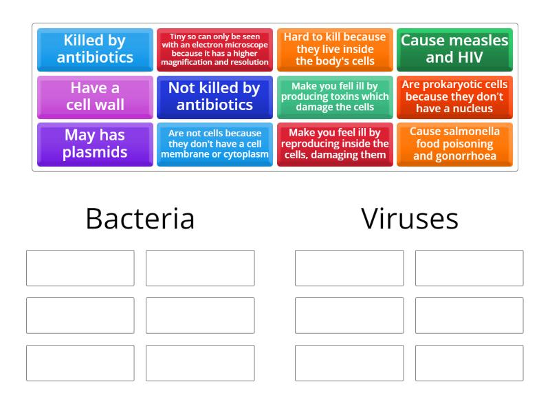 Bacteria and Viruses - Group sort