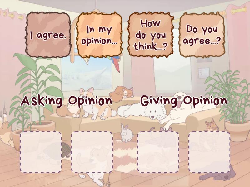 Asking and Giving Opinion - Group sort