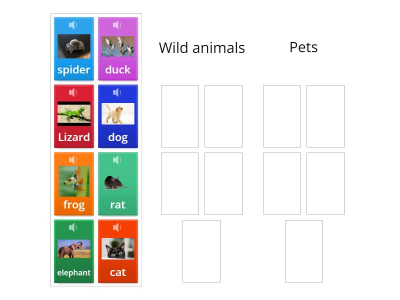 animals - Group sort