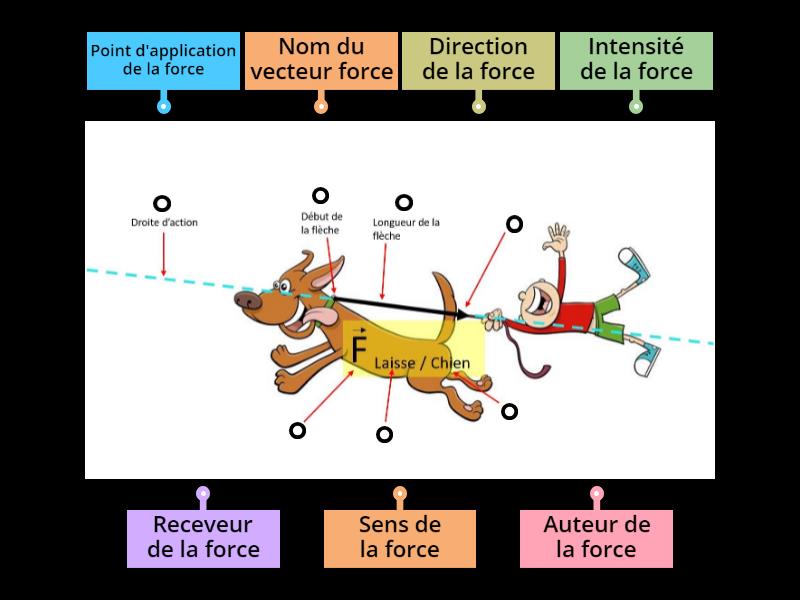 Représentation d'une force - Labelled diagram