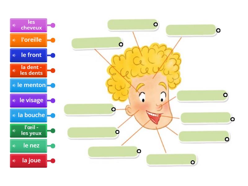 Le visage - Labelled diagram