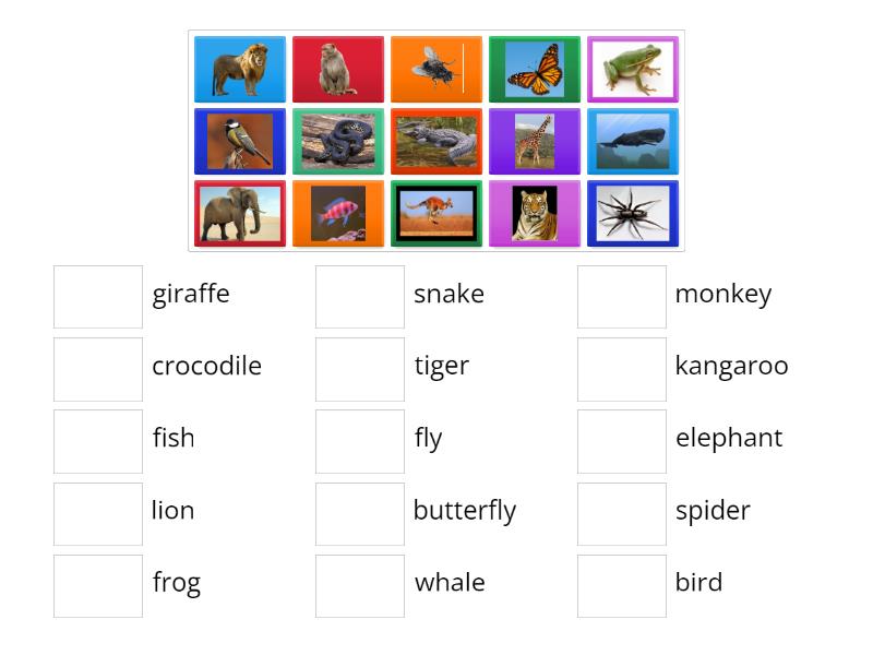 Wild animals - Match up