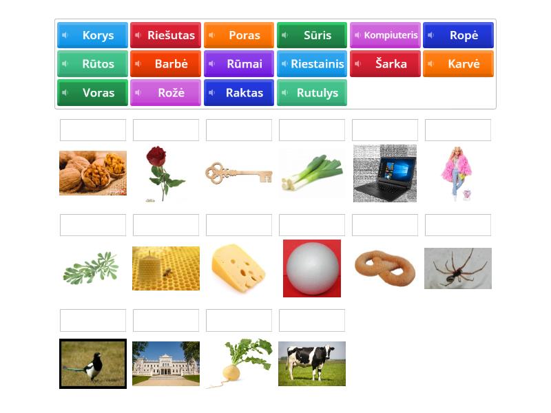 Pakartok žodį ir surask tinkamą paveikslėlį - Match up