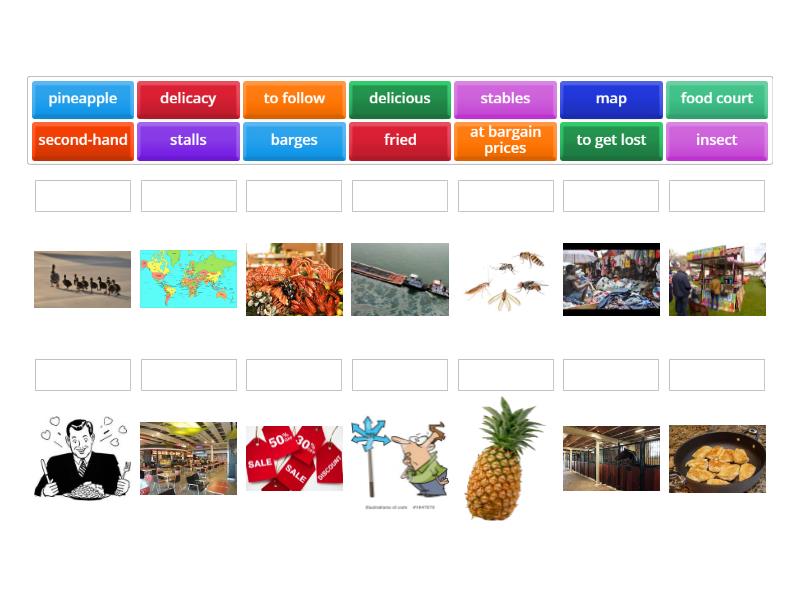 Starlight 5 4e new words - Match up