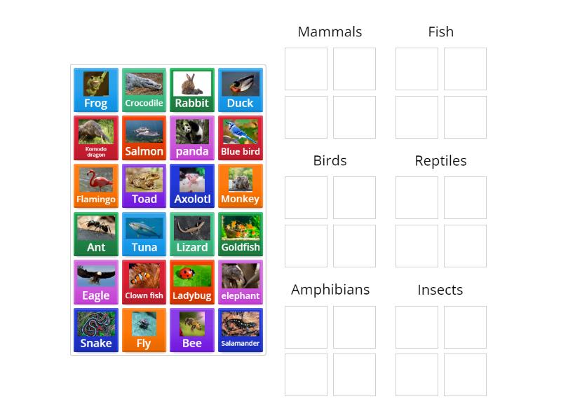 Science (animals) - Group sort