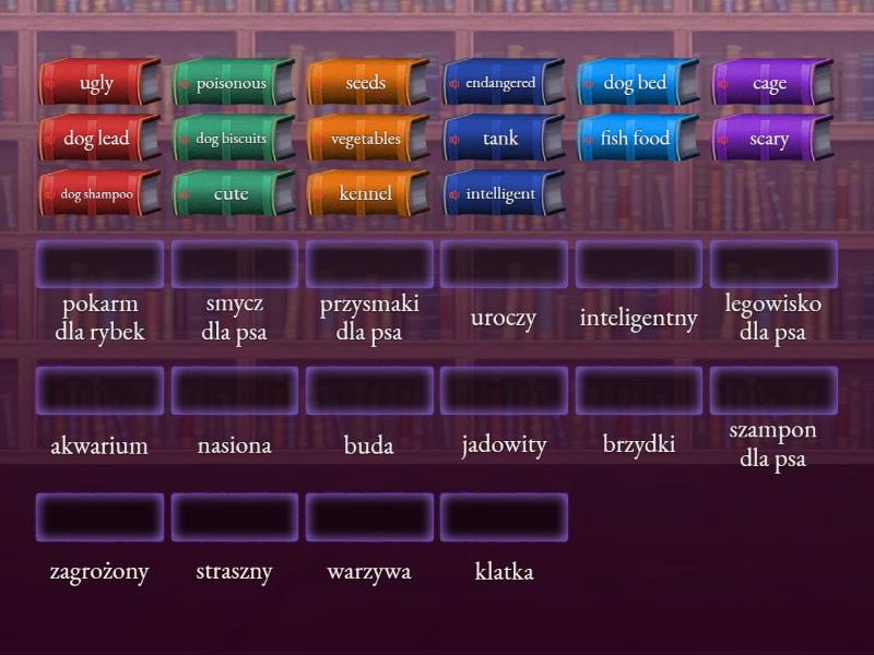 Brainy 6 unit 4 adjectives and things for pets - Match up