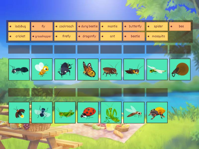 bugs - Match up