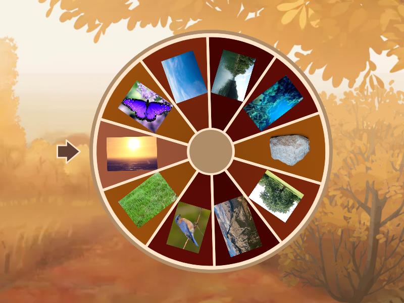 Primary 1 unit 2 - Spin the wheel