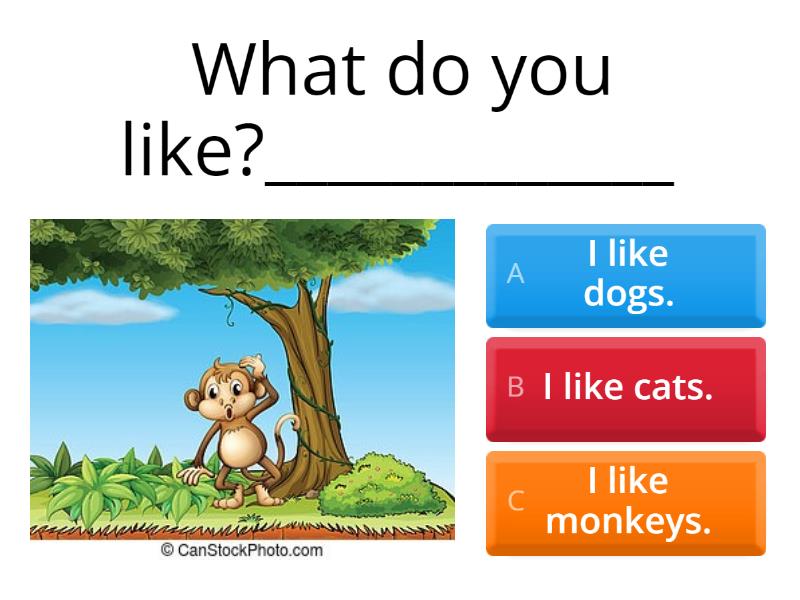 what do you like? - Quiz