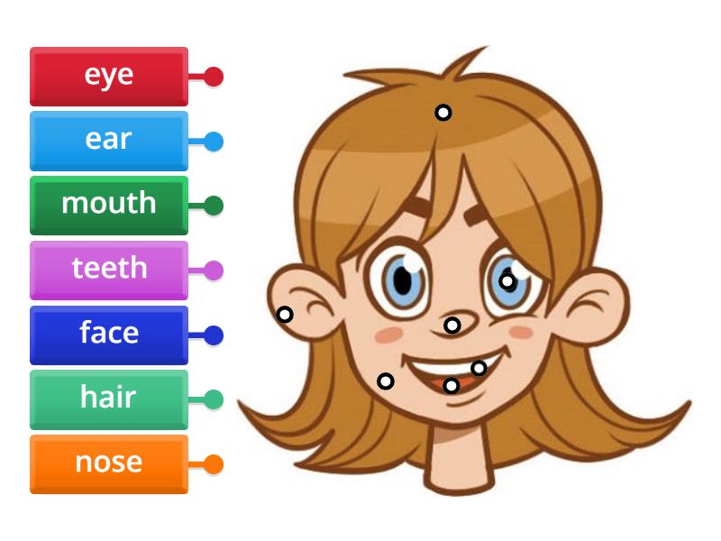 Go Getter 1 - Unit 4.1 - Parts of the face - Diagrama con etiquetas