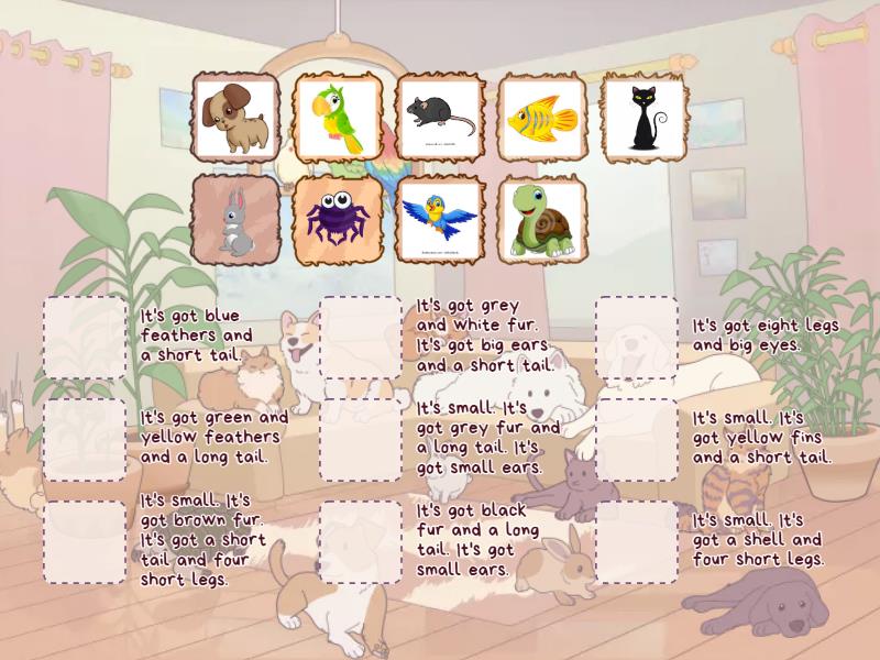 Describing pets - 2nd Grade - Match up
