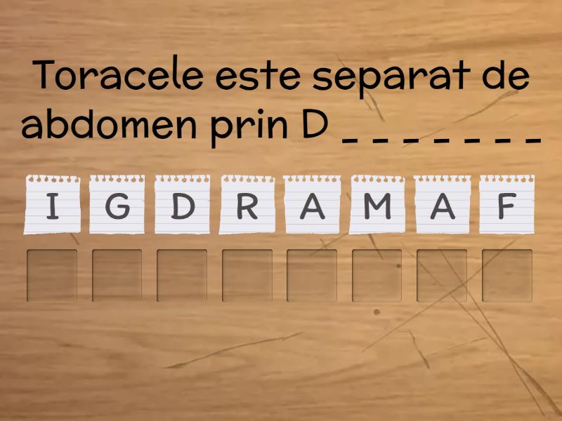 Corpul uman - Anagramă