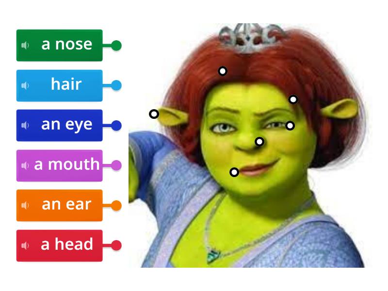 Parts of the face - Označený diagram