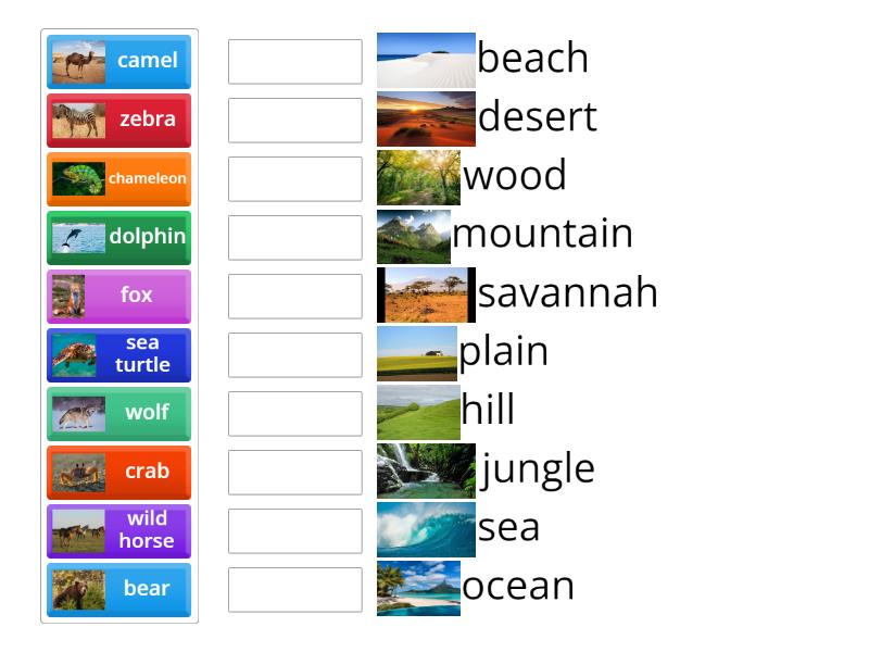 NATURAL HABITATS - Match up