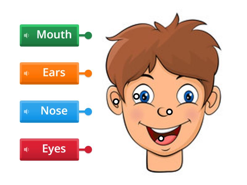 Top stars G2 - Labelled diagram