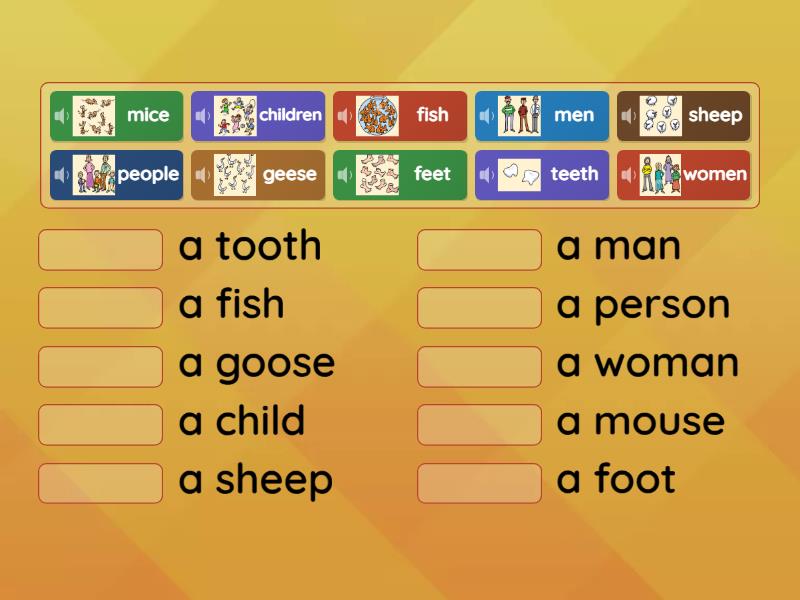 Irregular plurals - Match up