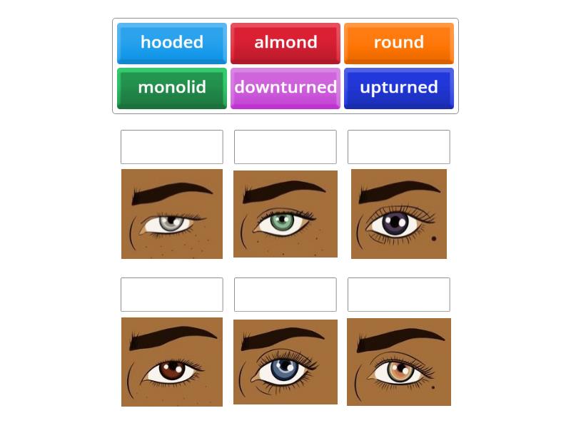 Types of eyes - Match up