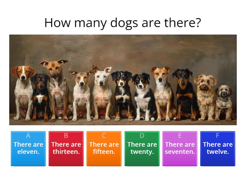 HOW MANY...? - Quiz