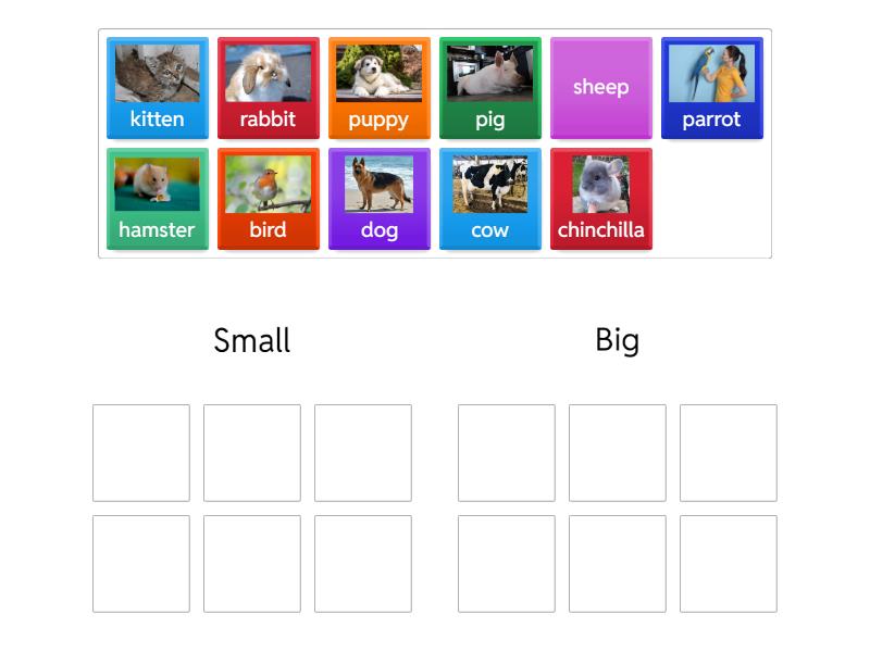 Big or small - Group sort