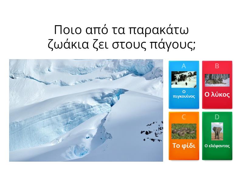 Οι πιγκουίνοι - Quiz